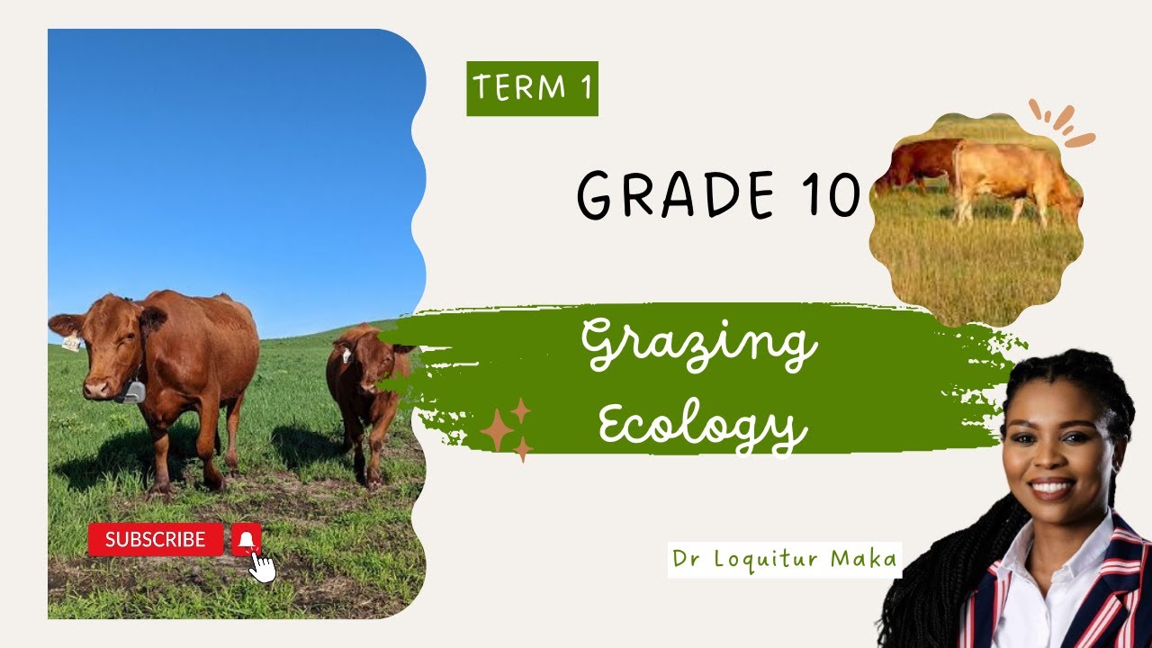 Grade 10 | Grazing Ecology | Agricultural Sciences | Term 1 - YouTube