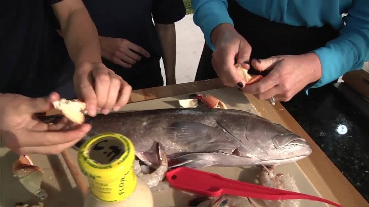 Knowing how to handle seafood safely - YouTube