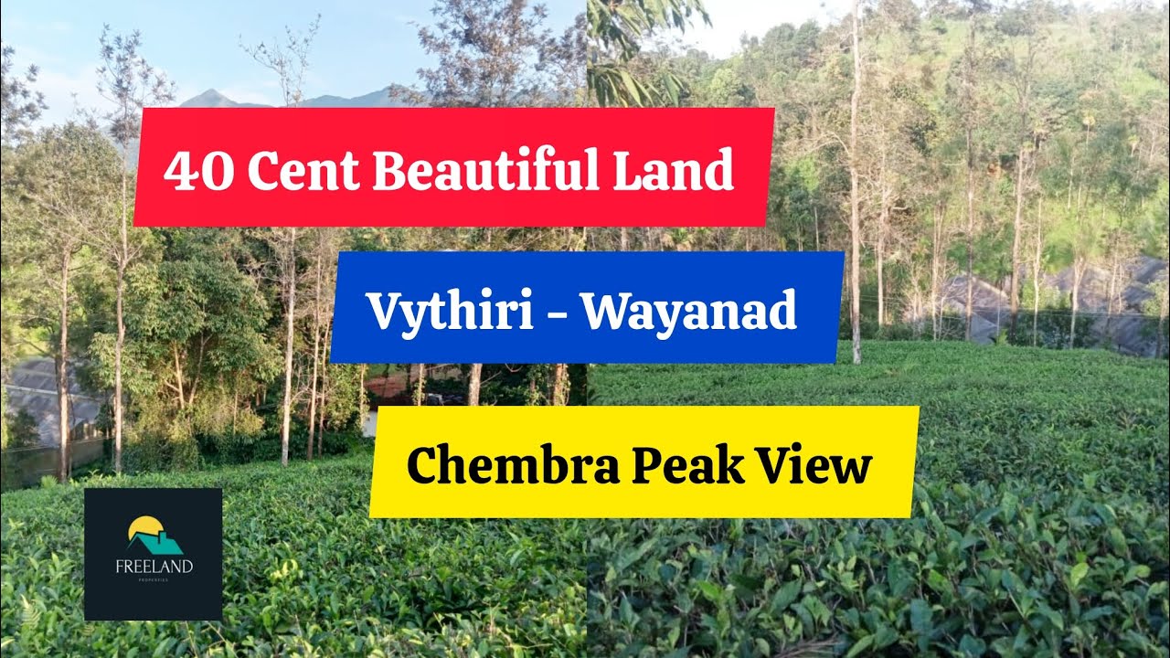 40 Cent Beautiful Resort Land For Sale | Vythiri | Wayanad - YouTube