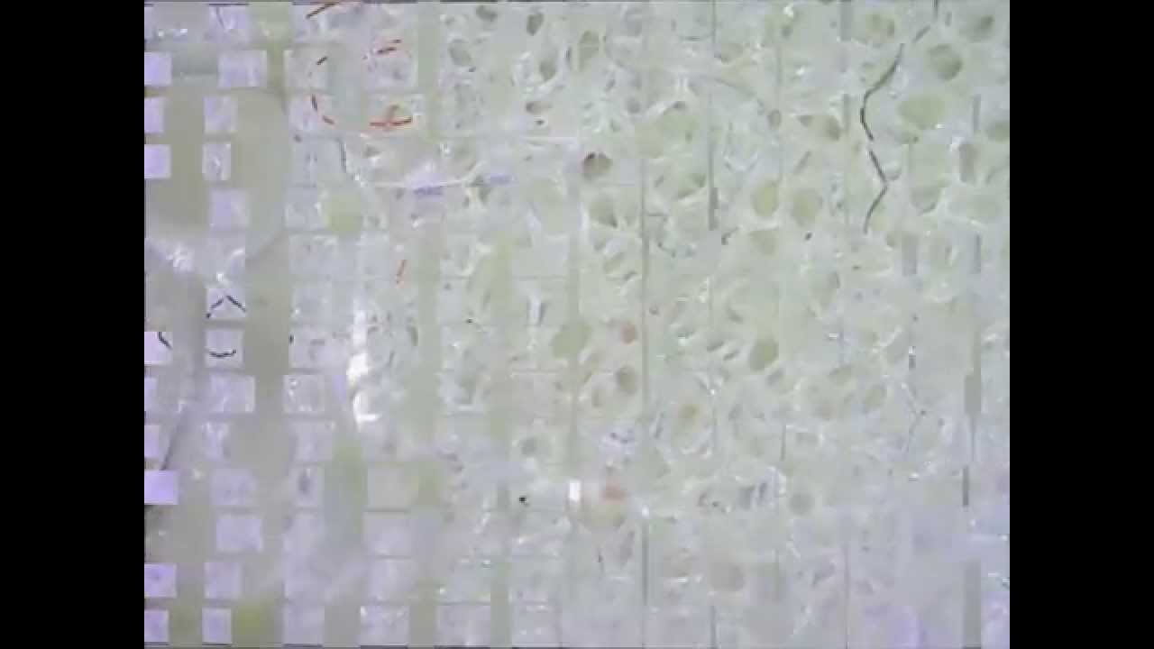 Foam Under a Microscope - YouTube