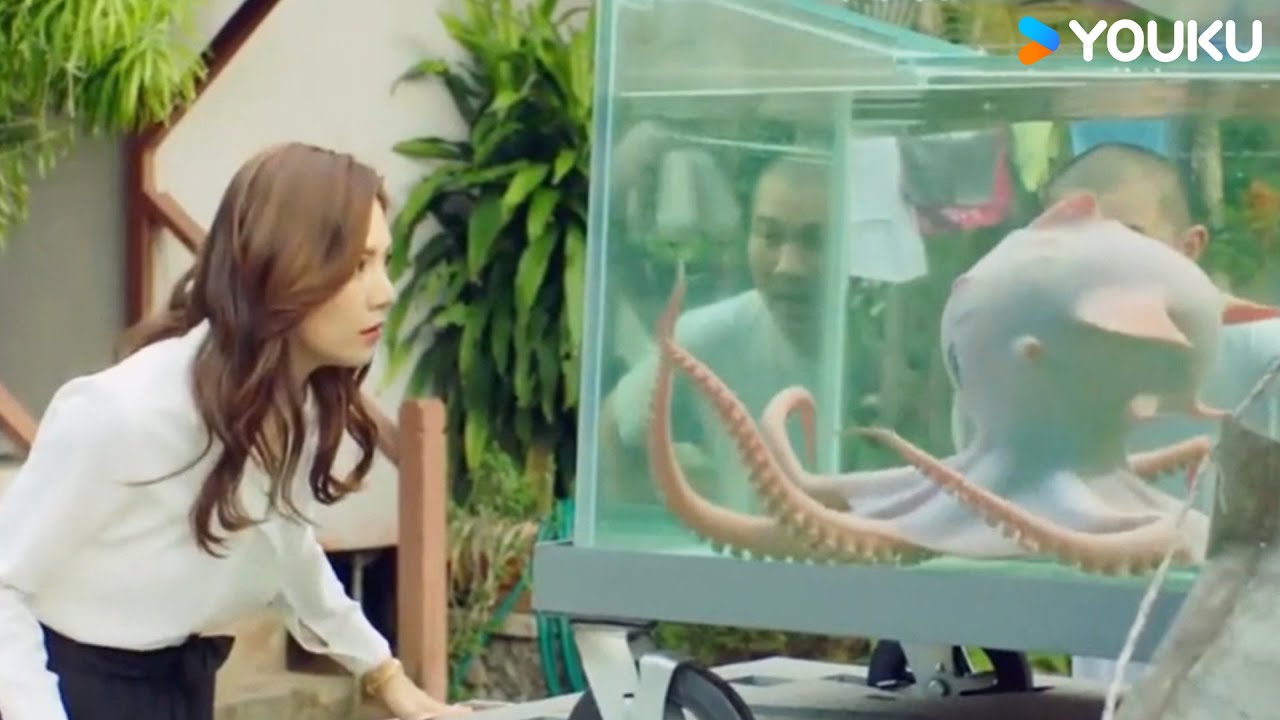 The bulletproof octopus targets humans but spares pregnant women | Big ...