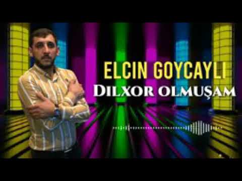 Dilxor Olmuşam 2021