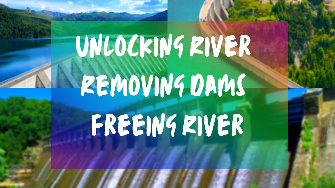 Unlocking River | Removing Dams | Freeing River - YouTube