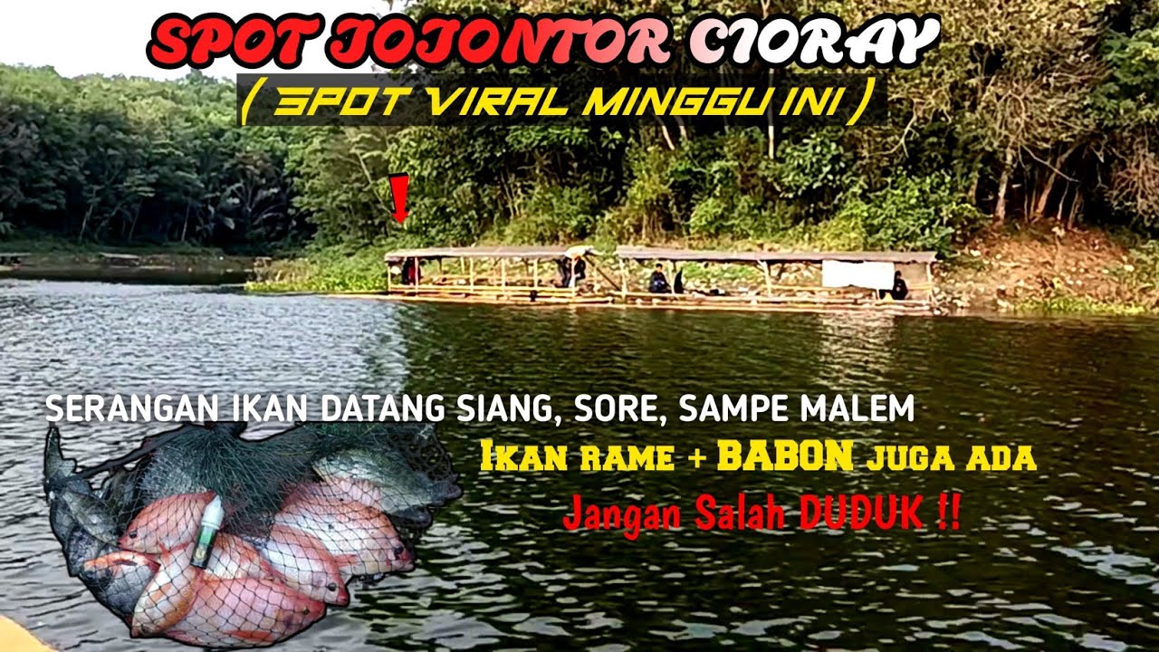 SPOT VIRAL CIORAY JOJONTOR - SERANGAN IKAN YANG MENJANJIKAN - YouTube