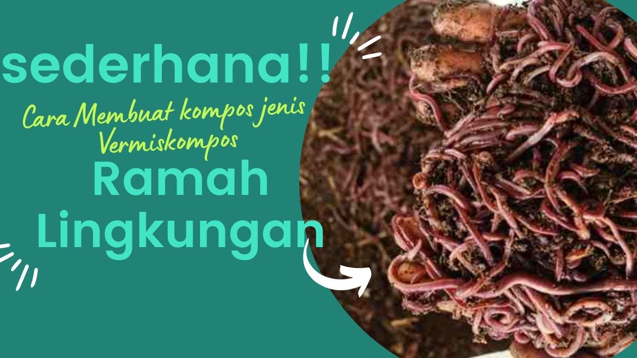 Membuat VermiKompos_ Tips&Trick 1 menit Petani - YouTube