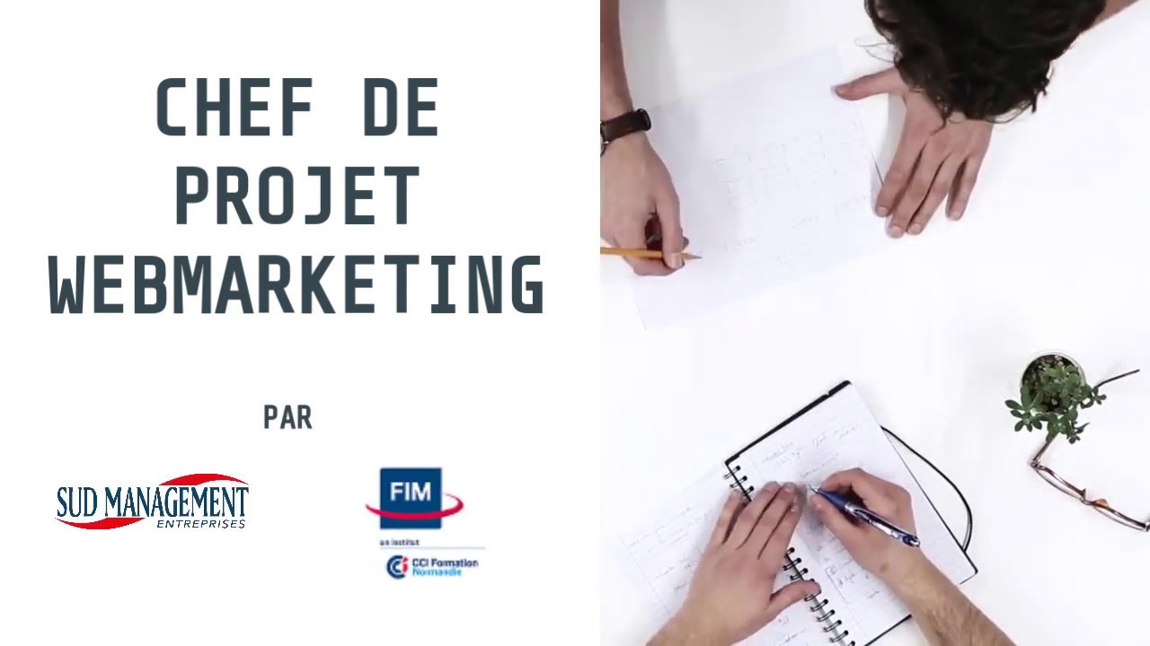 Chef de projet web et stratégie digitale Sud Management Business School ...