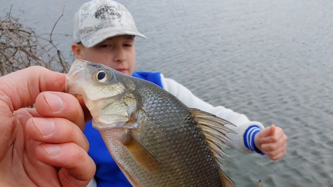 Trout Fishing Lake Caroline - YouTube