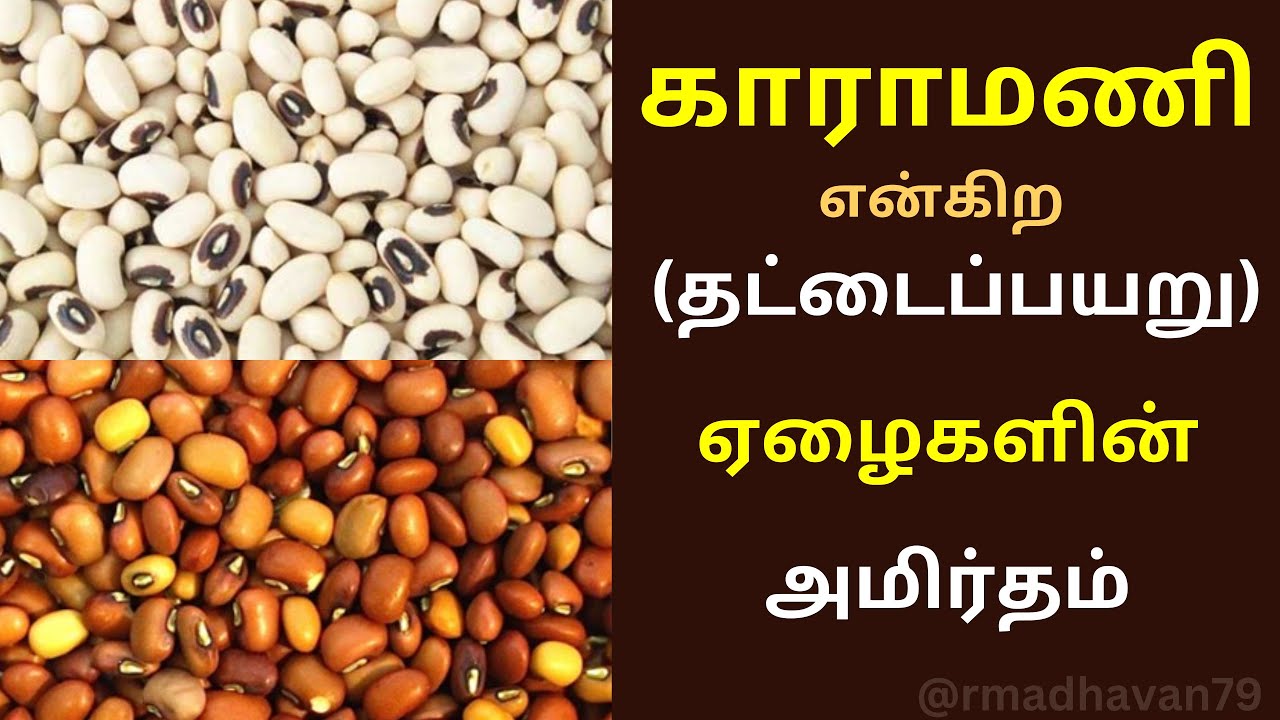 காராமணி என்கிற தட்டைப்பயறு ஏழைகளின் அமிர்தம் | Benefits of Karamani in ...