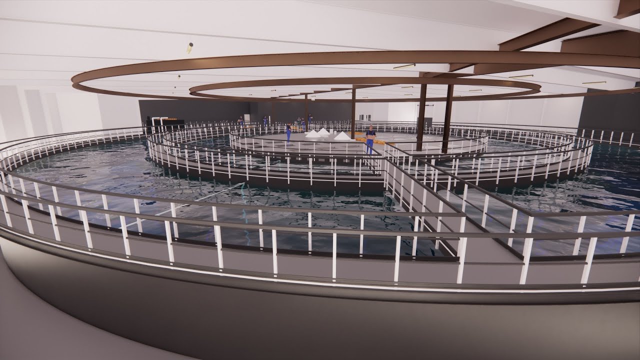 Animation RAS Technology - YouTube