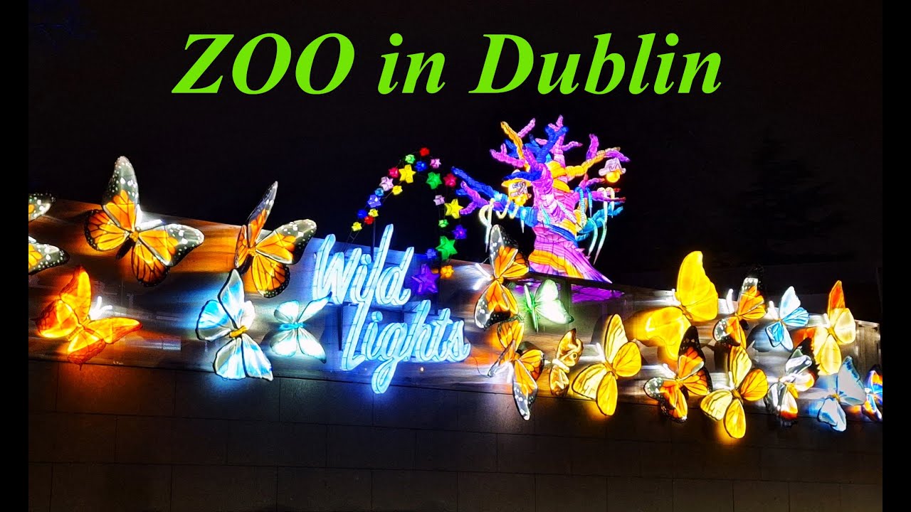 Wild Lights 2023. ZOO in Dublin. Light show on the fountain. (Świetlny ...