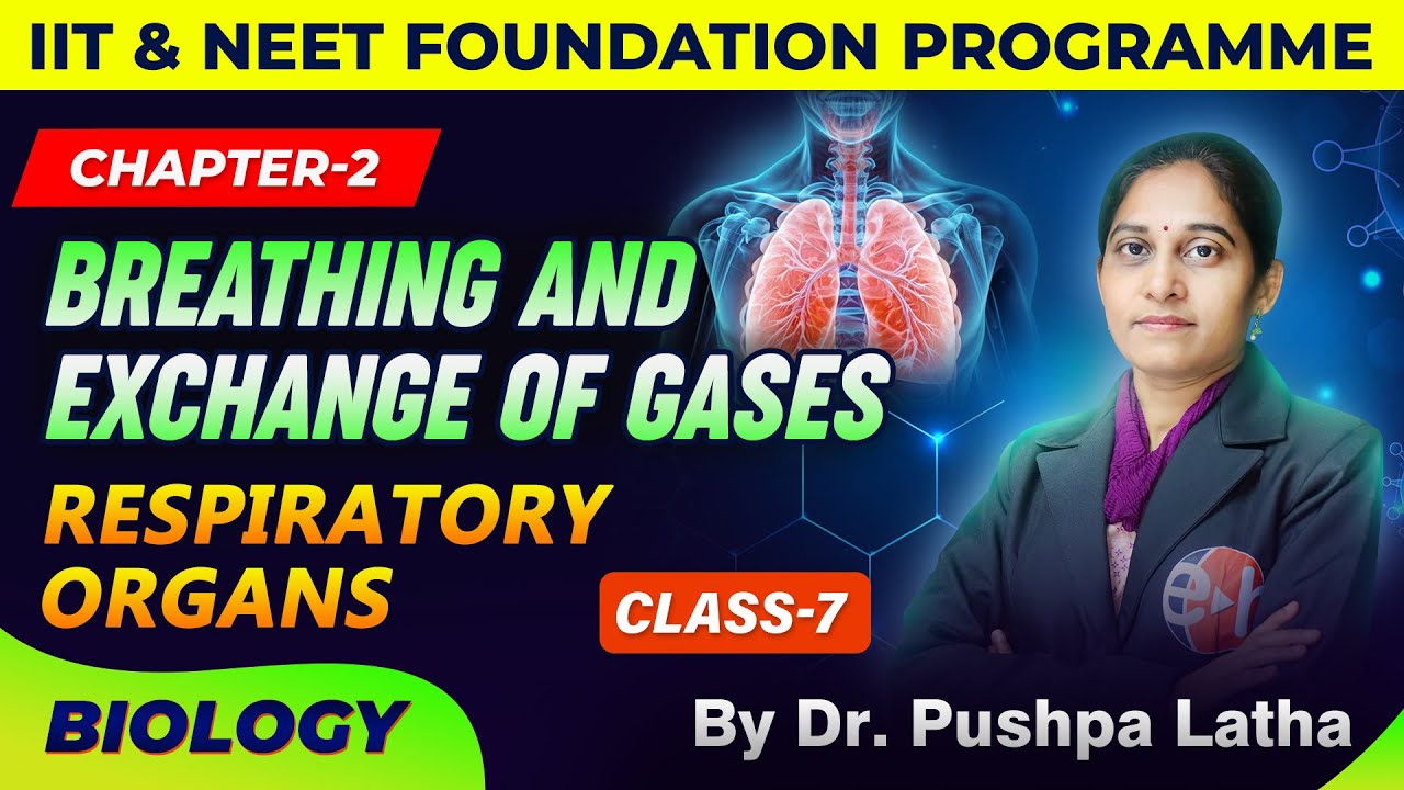 1. Respiratory Organs | Breathing And Exchange Of Gases | Class-7 ...