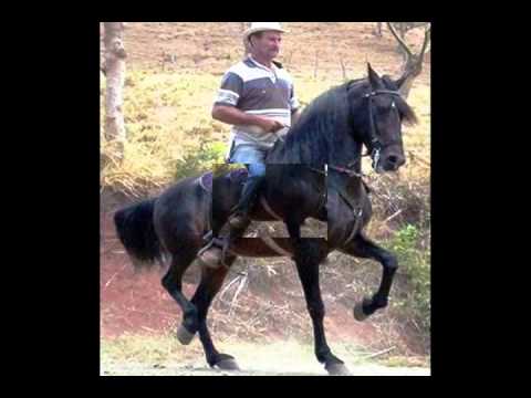 Caballo Prieto Azabache - Antonio Aguilar (Vulcano) - YouTube