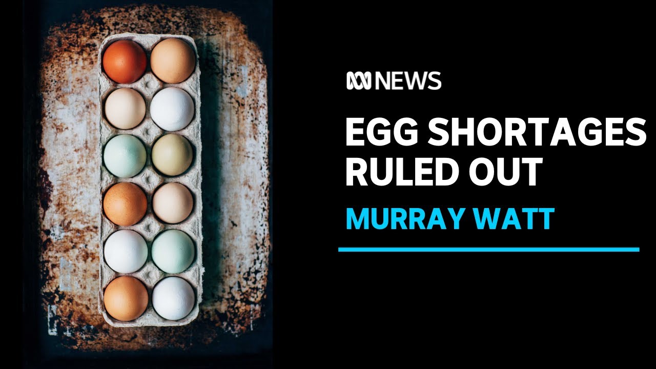 Bird flu spread: Government sees ‘no reason’ to expect nationwide egg ...