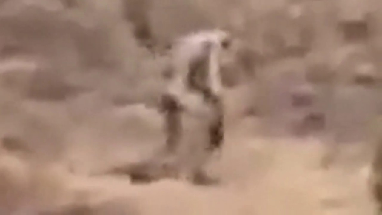 Strange Creature filmed in Portugal - YouTube