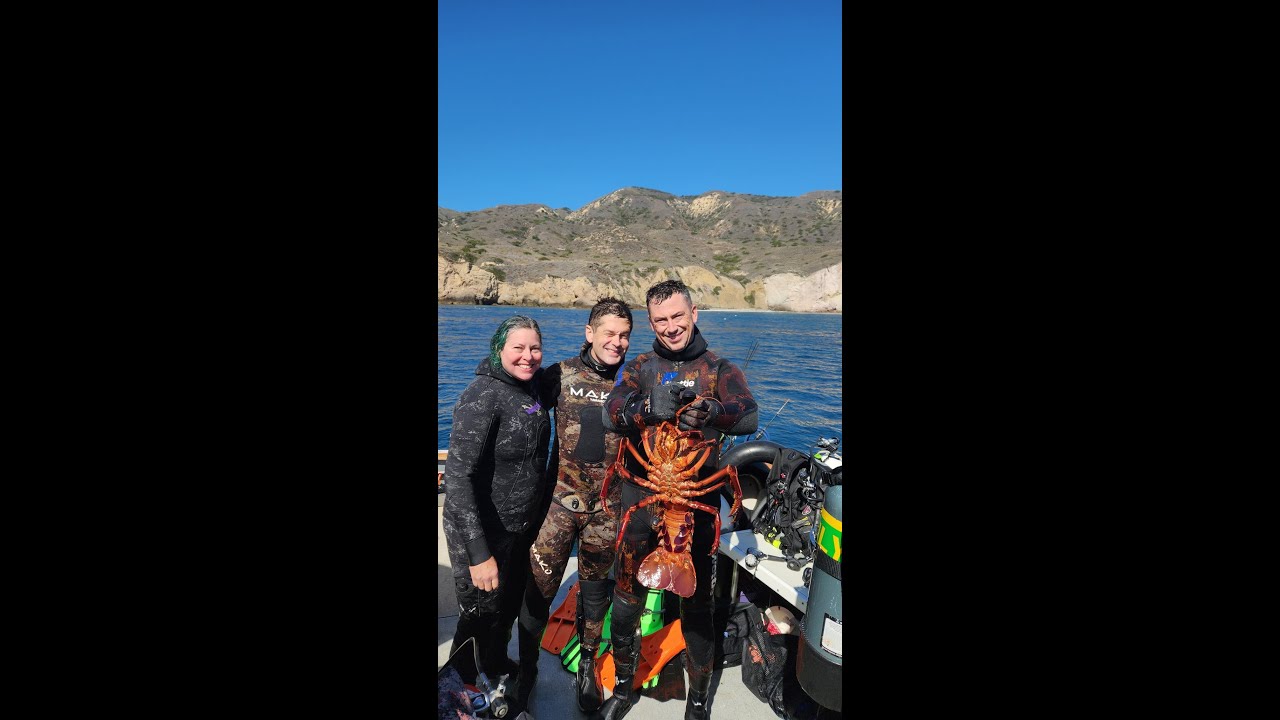 Epic Channel Islands Lobster Trip: Shark Encounters, 7-Pound Giant ...