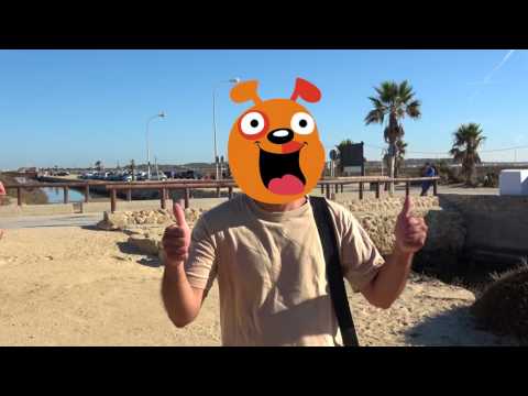 Perreando en la playa (version del director) HD