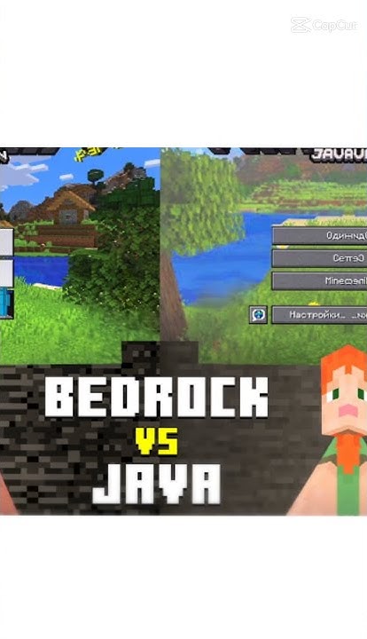Minecraft java Vs Minecraft bedrock Who is better?! Edit - YouTube