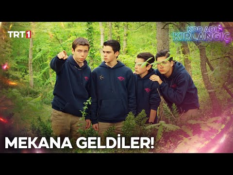 Ekip, Aslan’ın kardeşini bulabilecek mi? - Kod Adı Kırlangıç 52. Bölüm @trt1