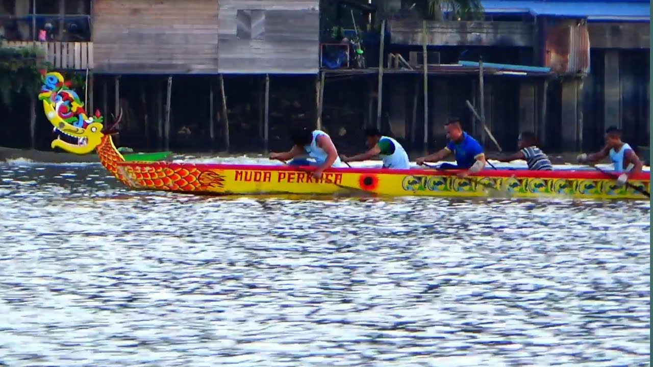 Mengamuk..!!! Perahu Panjang Muda Perkasa, Latihan Bersama Persiapan ...