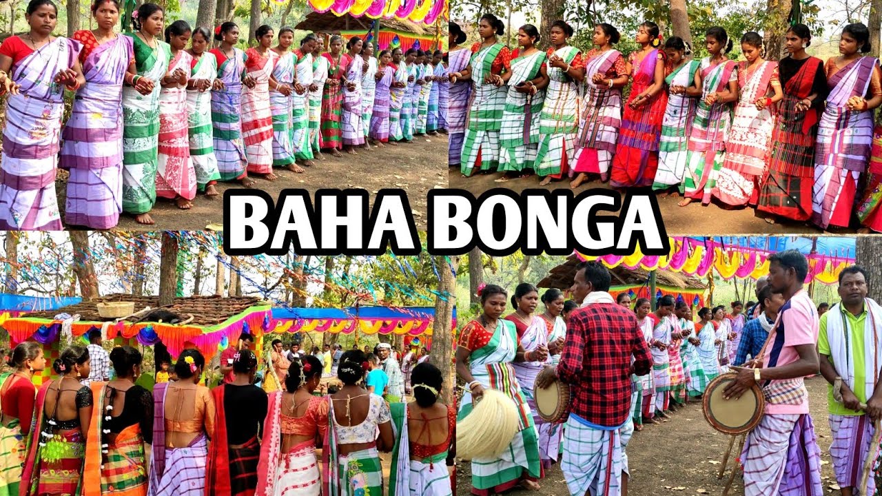 Baha Bonga 2024 || @simaltudu || Sagun Baha Bonga || Ale Atu Bhadu Sahi ...
