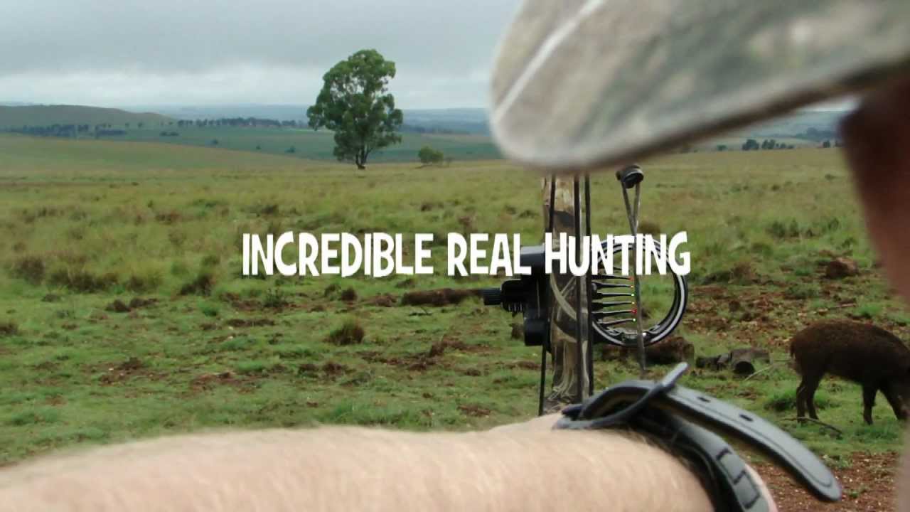 Wild Boar Hunting in Africa.'WILD BOAR PUMPING BLOOD' Bow Hunting - YouTube