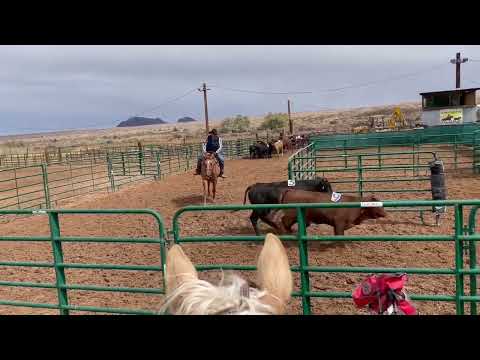 Sarah shotgun penning 2 - YouTube