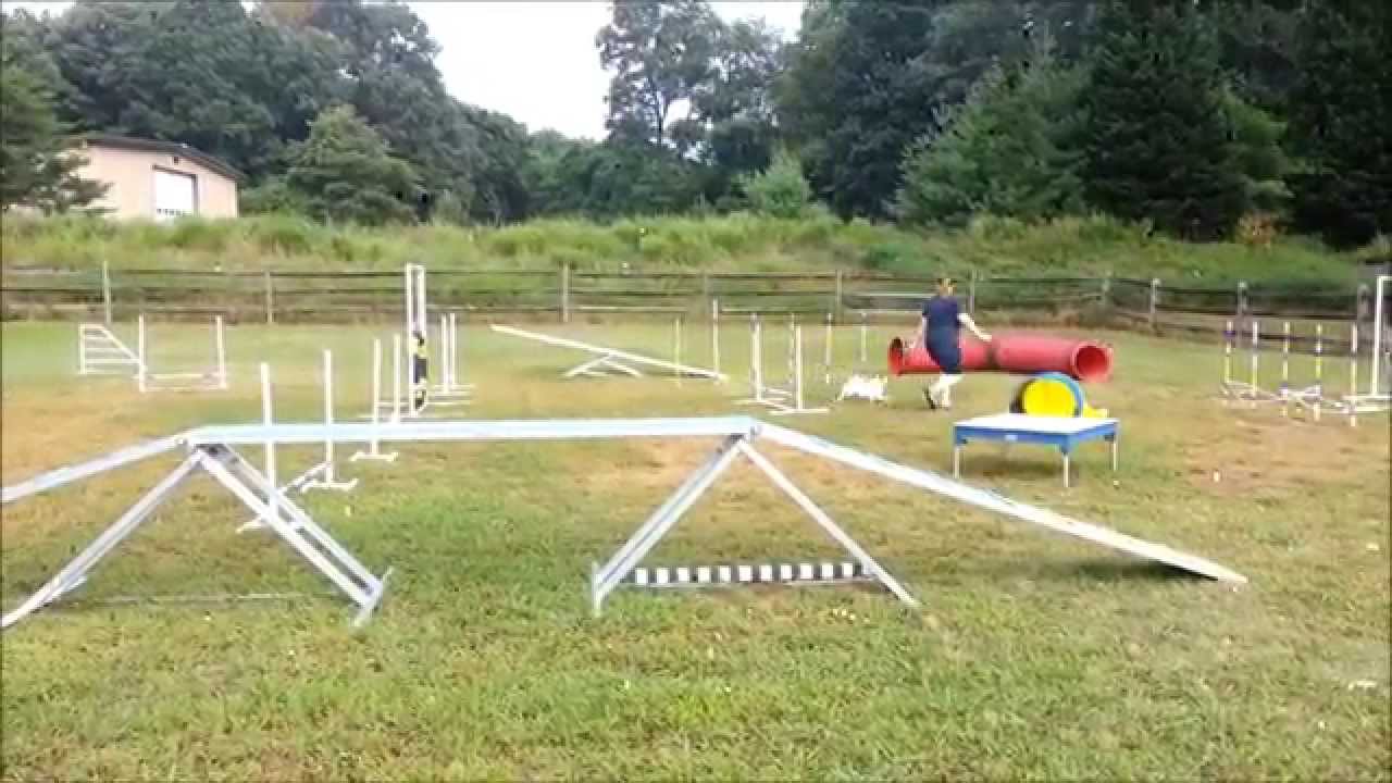 Esther Agility Course - 18 Obstacles - YouTube