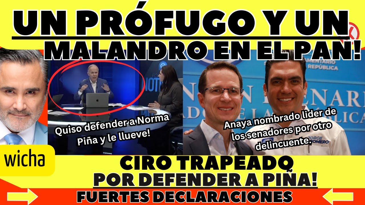 MALANDROS DEL PAN. CIRO TRAPEADO POR SOLAPADOR! - YouTube
