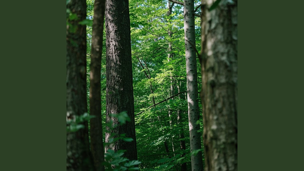 Time Goes on but Still I Find - Mc Tameka Rene Holden: Song Lyrics ...