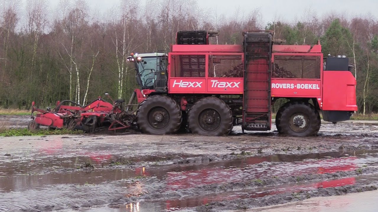Bietenoogst 2024 | Beet harvest in the mud | Agrifac Hexx Traxx met ...