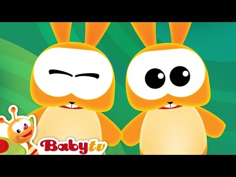 Animal Songs 🐒 🐶  | Nursery Rhymes and Songs for kids | @BabyTV