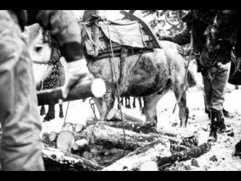 SAMARICE - (working horses) - YouTube