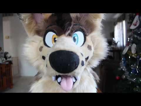 Ayce Coyote Fursuit Head