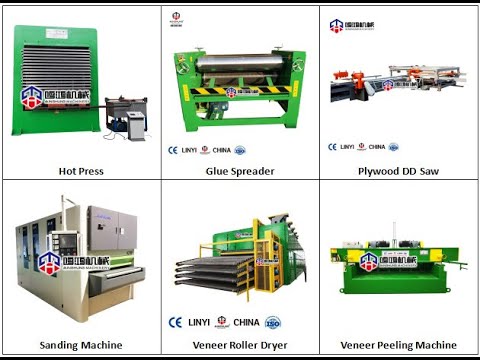 How To Produce Plywood? Manufacturing Plywood Production Line - YouTube