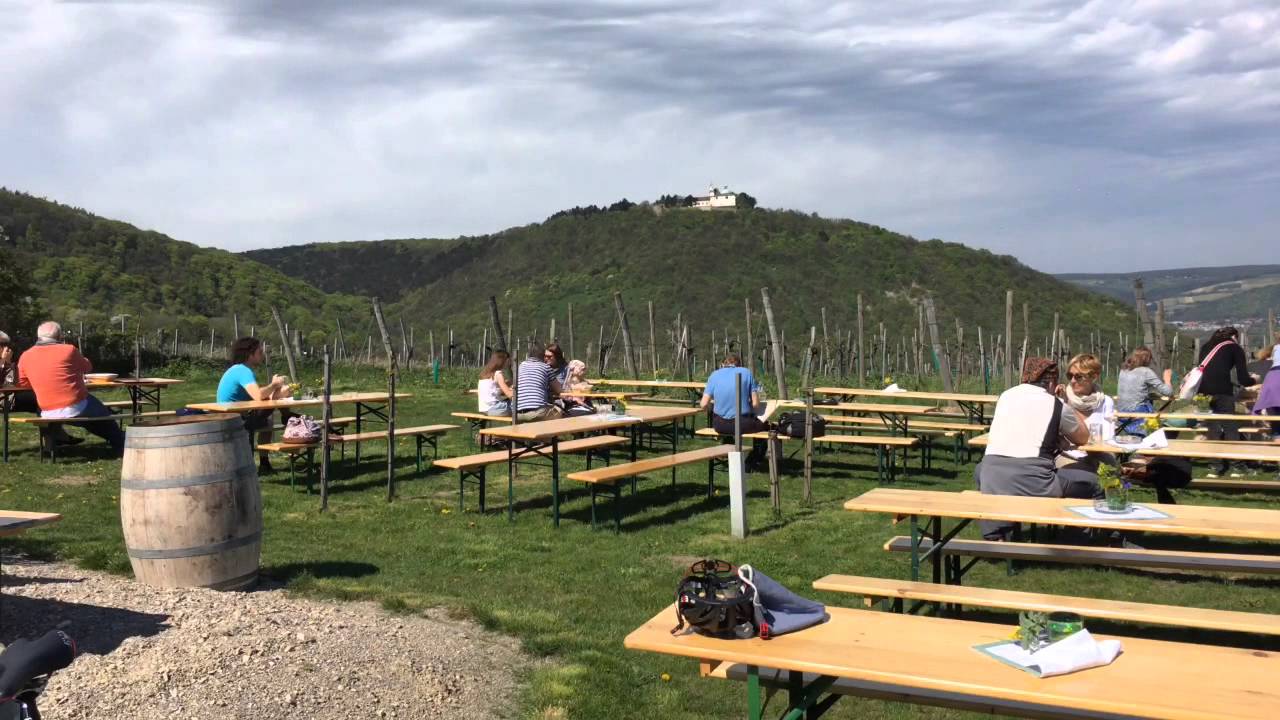 Wien und der Wein - Wieninger am Nussberg - YouTube