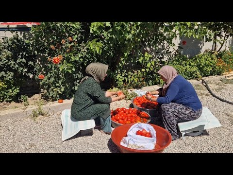 KARIŞIK SALÇA YAPACAĞIM ARILARLA MÜCADELEM DALADILAR BENİ🙈