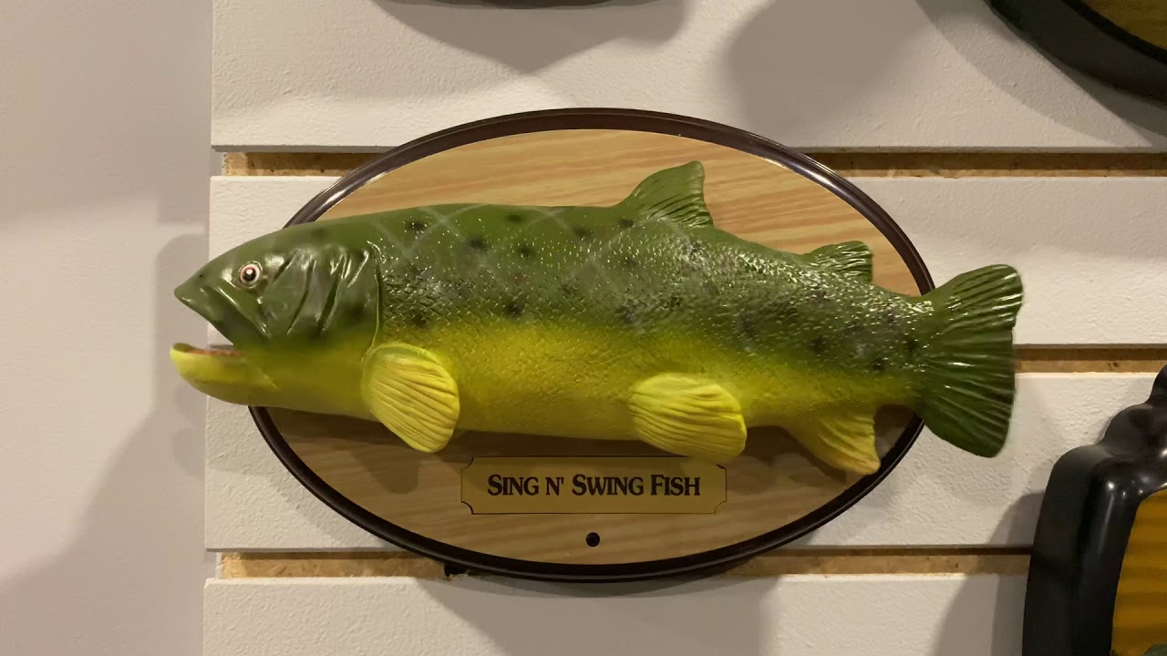 Sing N’ swing fish (small version) - YouTube