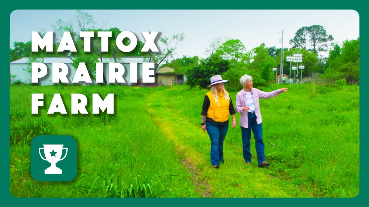 Mattox Prairie Farm - 2024 Lone Star Land Steward - YouTube