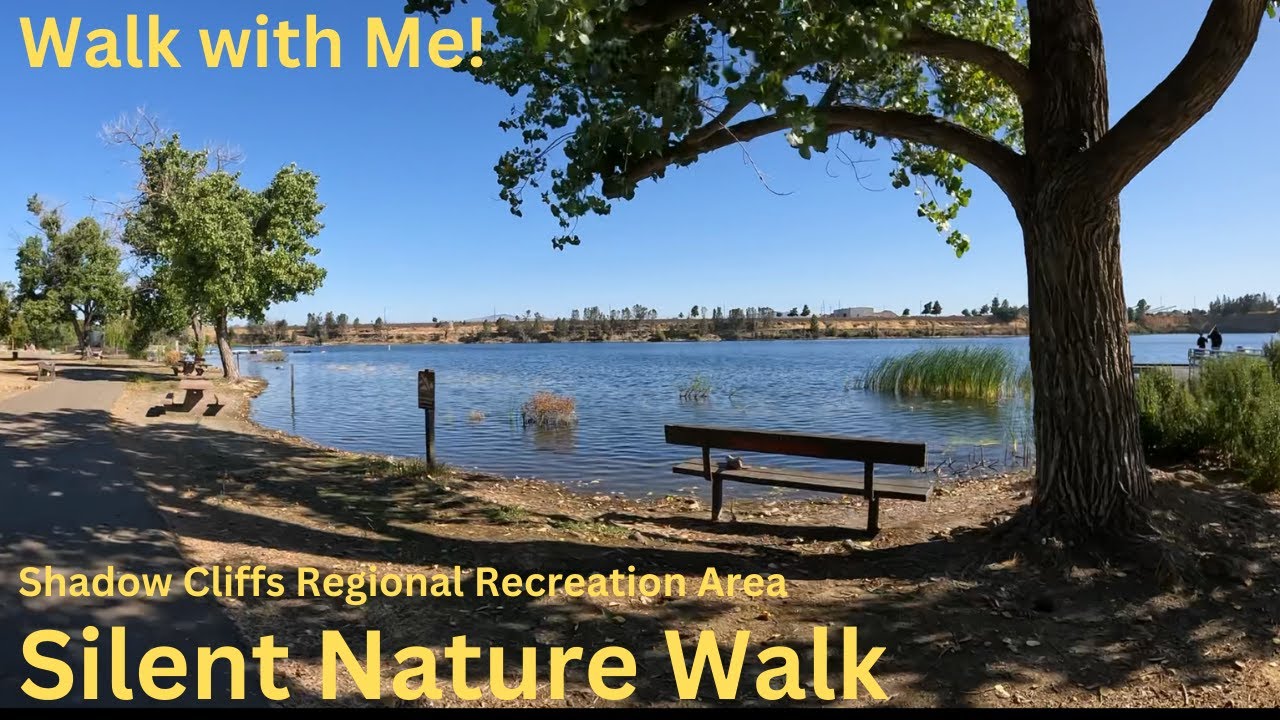 Silent Nature Walk to Shadow Cliffs Lake--No narration or commentary ...