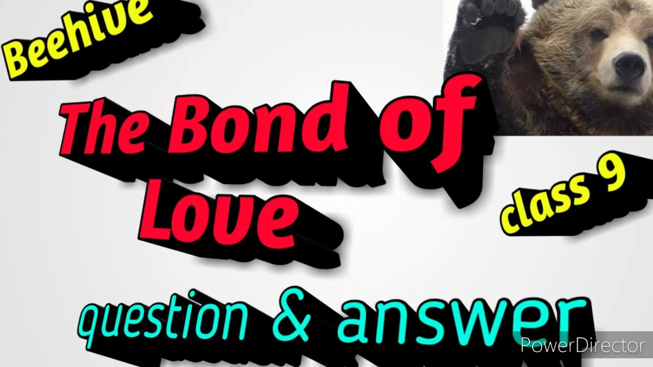 The Bond Of Love Question Answer Of Class 9 Beehive Book YouTube the-bond-of-love-question-answer-of-class-9-beehive-book-youtube