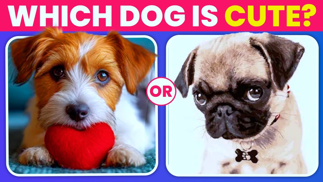 Would You Rather...? DOGS Edition 🐶 Which Dog is Cuter? | PAW Quiz ...