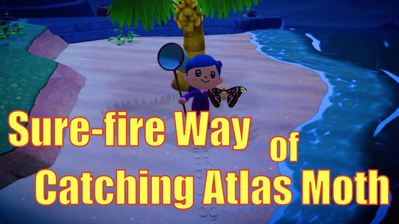 [ACNH] Tips on Catching Atlas Moth! Sneak Peek to Our Next Mystery ...