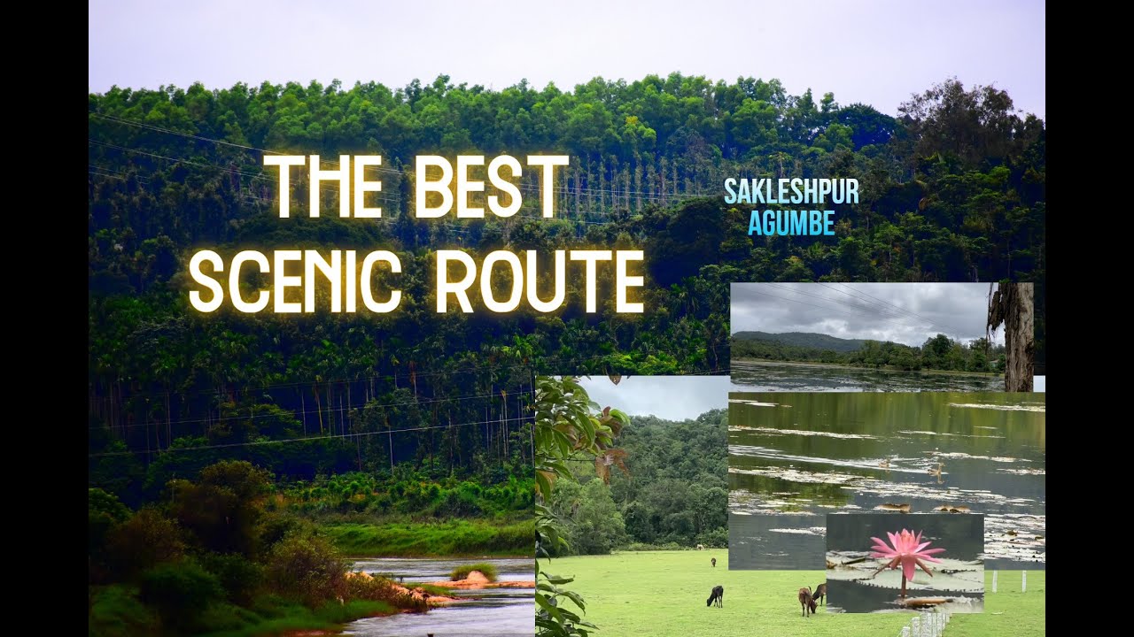 The Best Scenic route 2021 July Agumbe to Sakleshpur by road, Karnataka ...