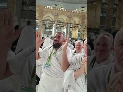 Kabeyi İlk Görüş