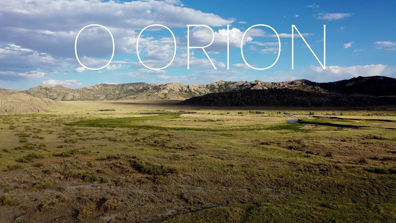 The Newbees - O Orion (Official Music Video) - YouTube