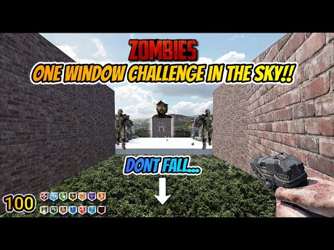 Taking One Window Challenge to New HEIGHTS! Black ops 3 Custom Zombies ...