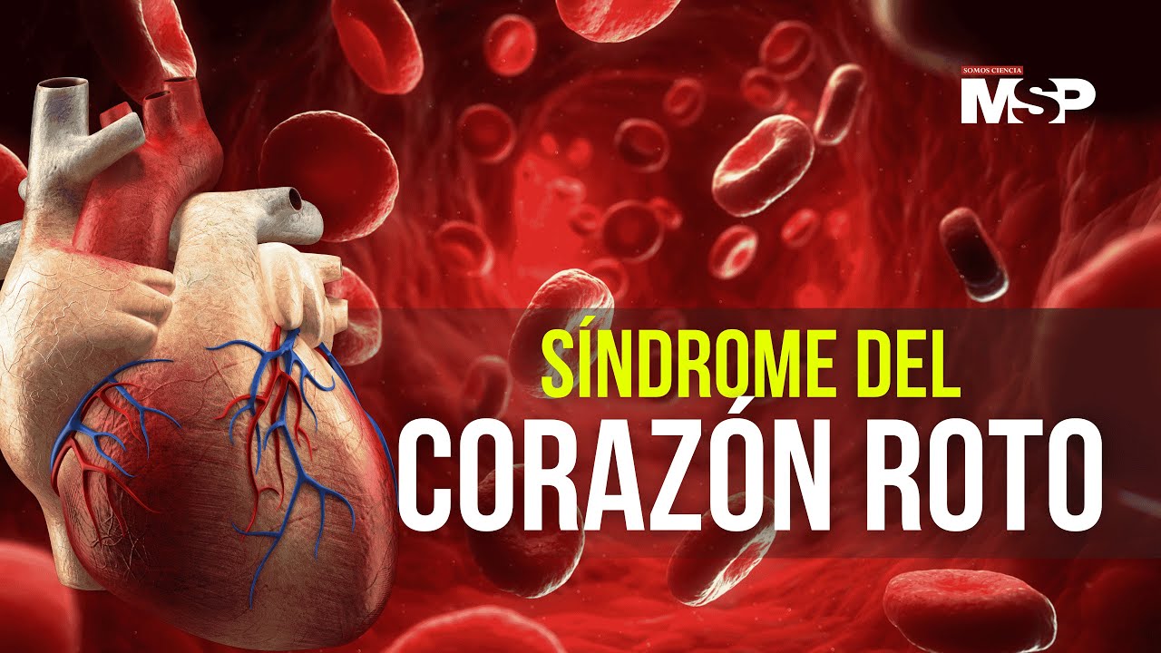 ¿SE PUEDE MORIR DE UN CORAZÓN ROTO? LA CIENCIA LO EXPLICA I MSP - YouTube