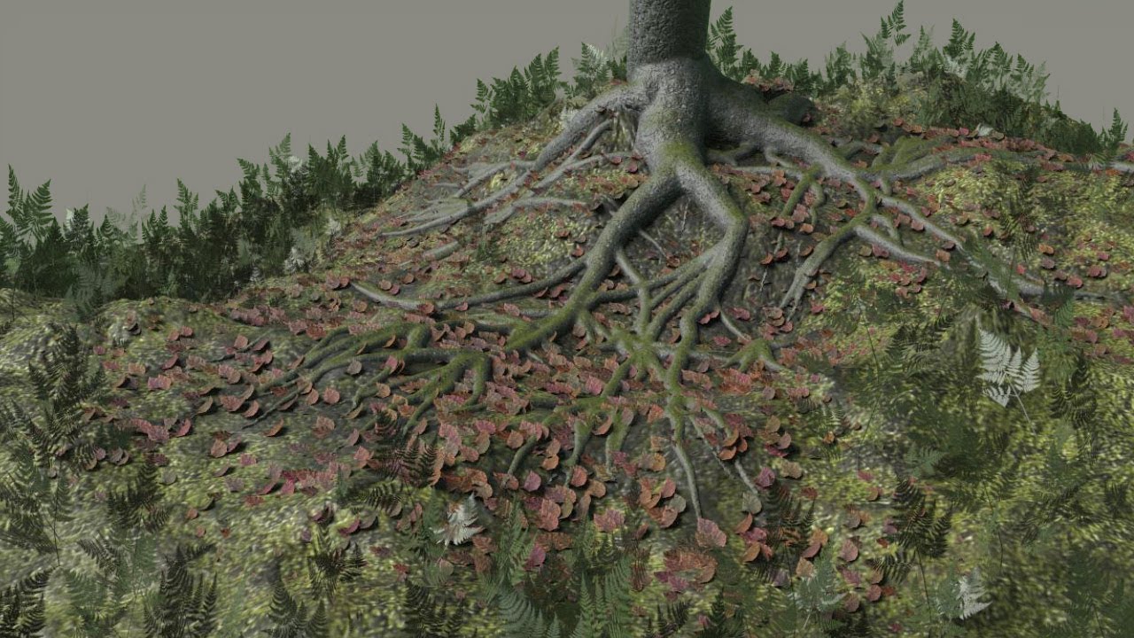 Tutorial 9. Attribute Transfer Node - YouTube