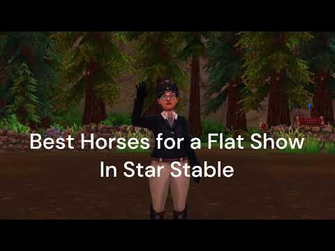 Best Horses for a Flat Show in Star Stable - YouTube