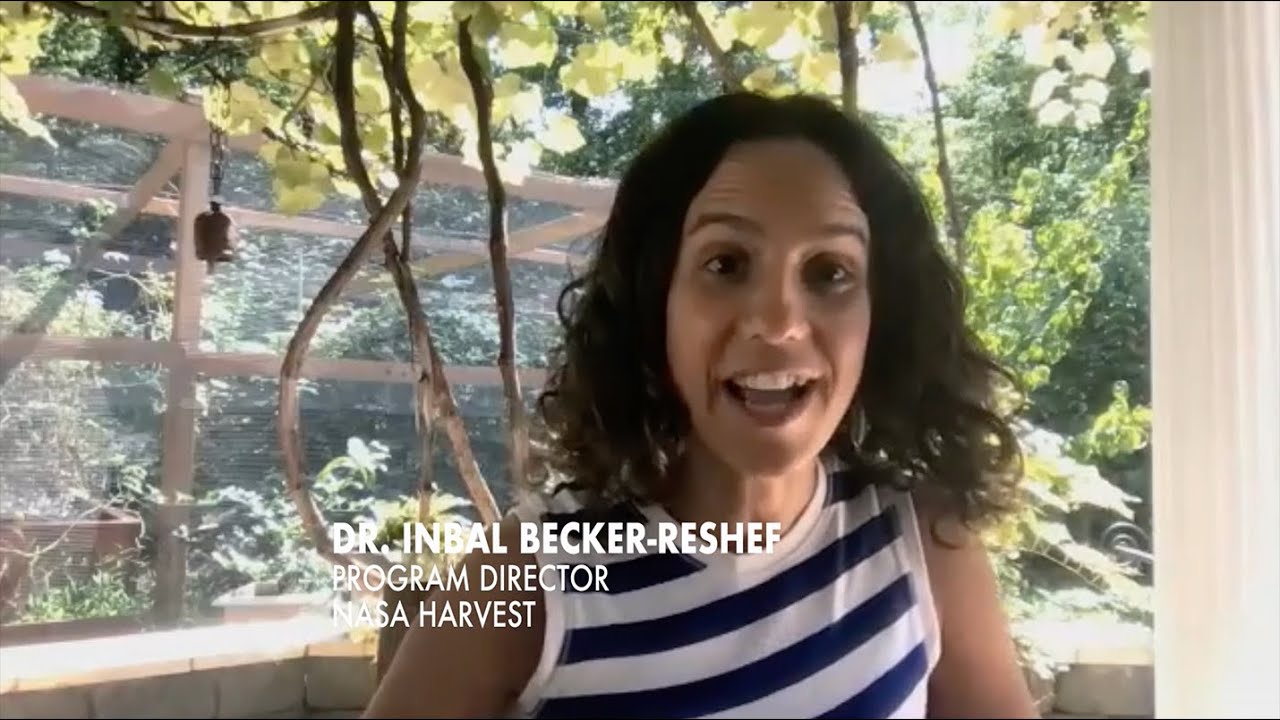 BBC Follow the Food Becker Reshef - YouTube